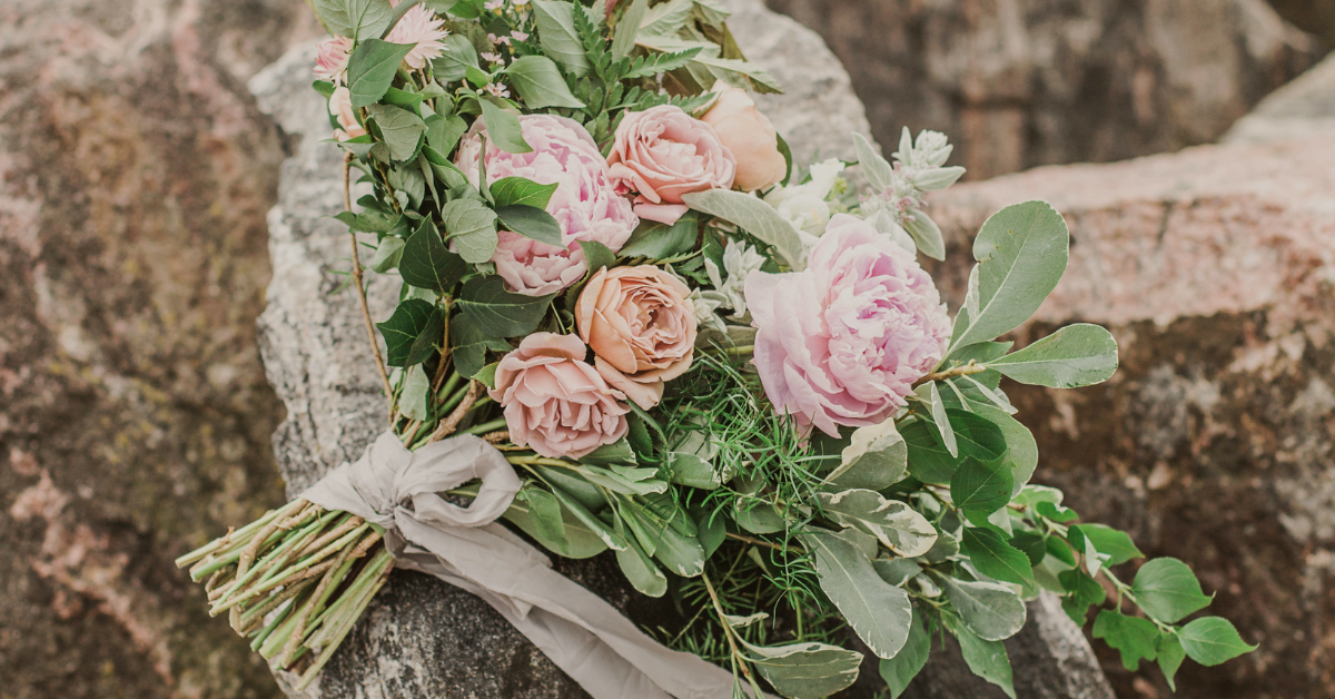 Tesucc | Plantas, interiorismo botánico y paisajismo – Tesucc Plantas y ...